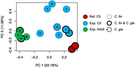 Principal Component Analysis Pca Plot Of Gene Expression Patterns In Download Scientific