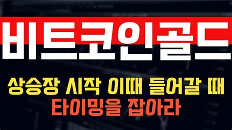 코인 비트코인골드 비트코인골드 코인전망 및 목표가 분석 이제부터 주목할 이유 Youtube