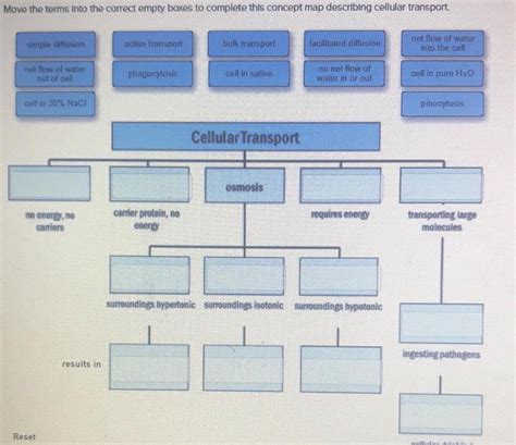 [answered] Move The Terms Into The Correct Empty Boxes To Complete This Kunduz