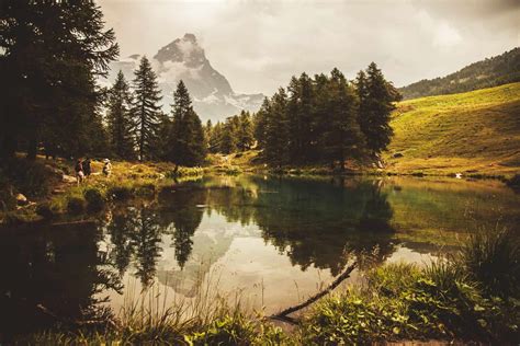 Fruit Boom - canfanny.com