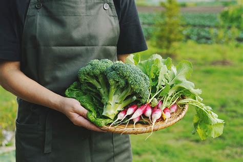 Cafe Tsugumori つぐもり