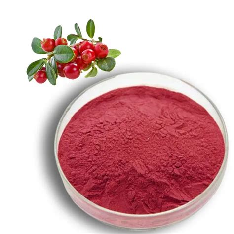 Understand The Benefits Of Cranberry Extract Supplements