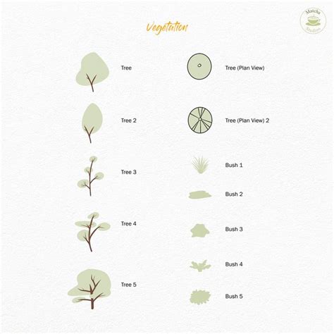 Map Of Different Tree Types