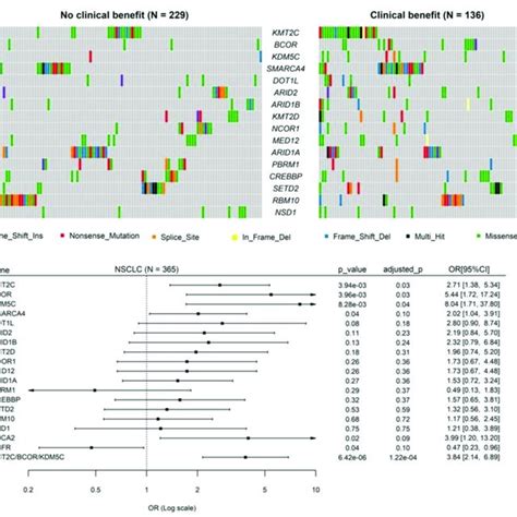 Mutations Of Chromatin Remodeling Related Genes And Their Correlations Download Scientific
