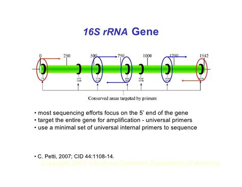 Heat Map Showing The Richness Of 16s Rrna Gene Sequence