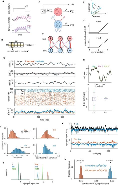 Veronika Koren On Linkedin Structure Dynamics Coding And Optimal Biophysical Parameters Of