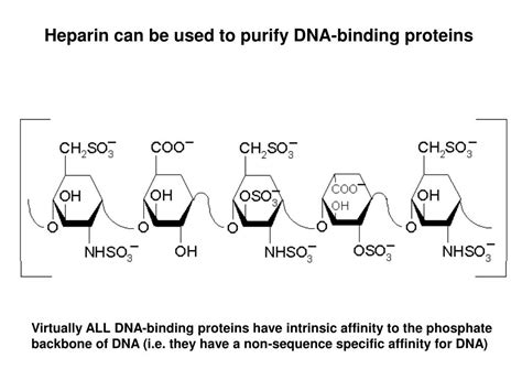 Ppt Dna Binding Domains Structural Considerations Of The Dna Double Helix Powerpoint