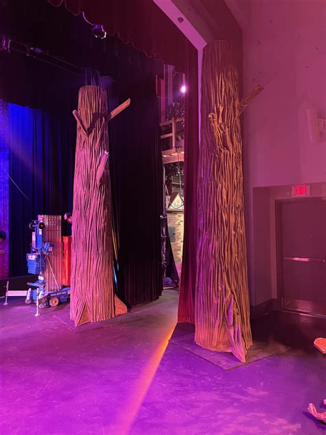 Large Tree Trunks Set The Stage Atlanta