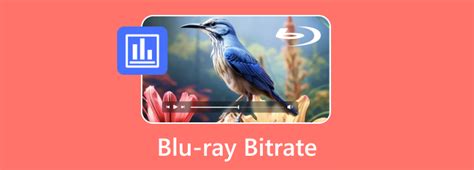 Blu Ray Bitrate Explained Definition Comparison And Tips