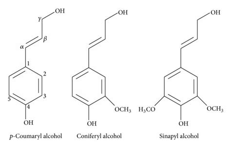 Monomer Structures Of Lignin [18] Download Scientific Diagram