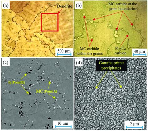 Microstructure Of The Bm Under Casting Conditions A Dendrite Download Scientific Diagram
