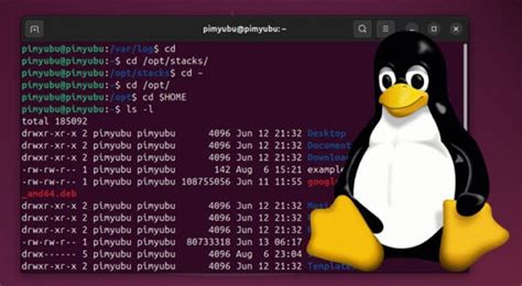 extracting and opening rar files on linux pi my life up