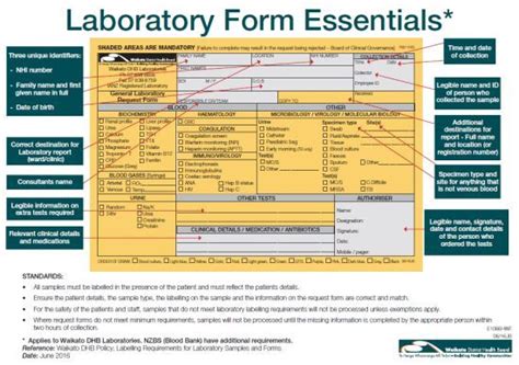 Lab Order Form Template Free And Premium Templates To Download Instantly For Free