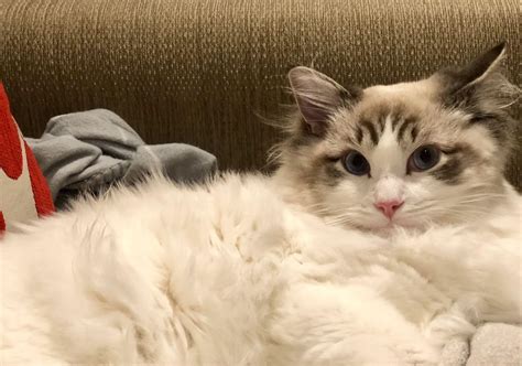 Java中的秒表 Stopwatch 知乎