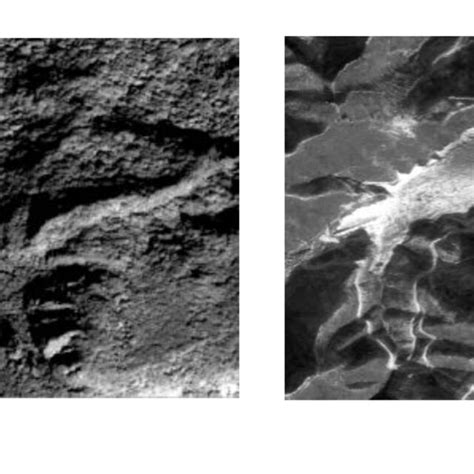 Examples Of Multi Temporal Satellite Remote Sensing Panchromatic Images Download Scientific