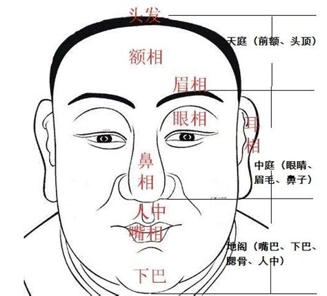 地阁方圆脸型 地阁方圆的脸型图片 大山谷图库