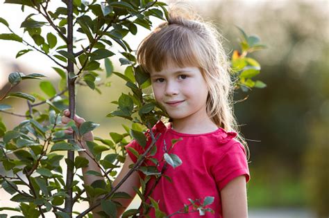 회색 눈과 긴 금발 머리와 귀여운 예쁜 아이 소녀 흐린 화창한 여름 보케 배경에 젊은 나무를 들고 수줍게 미소 아름다움 꿈과 어린 시절의 순수 자연 개념에 사랑 귀여운에