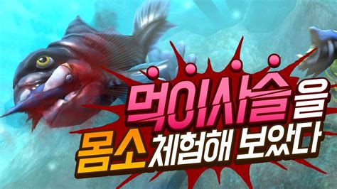 먹이 사슬을 몸소 체험해 보았다 피드 앤 그로우 피쉬 Youtube