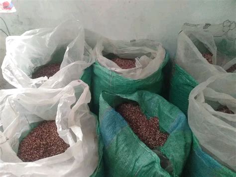 Rose Coco Beans Farmers Market Kenya