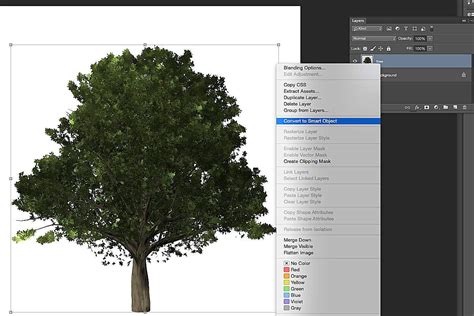 How To Make Trees In Photoshop