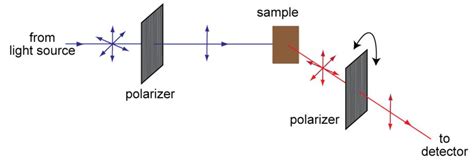 Fluorescence Polarization In Life Sciences