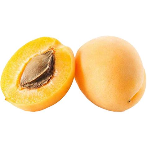 Peachcot Fruit Salad Trees