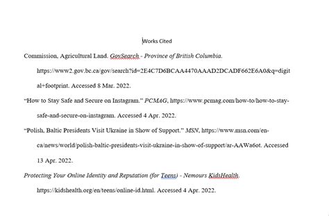 How A Works Cited Should Look Ms Olchowys Babe Blog Demo
