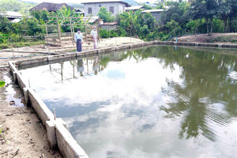 မိုင်းပျဉ်းမြို့၌ အစိမ်းရောင်ကျေးလက်ဒေသဖွံ့ဖြိုးရေးစီမံကိန်း စံပြကျေးရွာ ရွေးချယ်ပြီးစီး