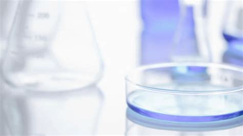 В организма на всеки човек има 2 кг микроби Новини Woman Bg