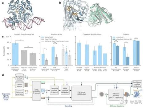 为什么这次alphafold3再次意义非凡? 知乎 为什么这次alphafold3再次意义非凡? 知乎