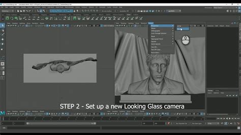 Next In The Viewport Go To View Camera Settings Resolution Gate