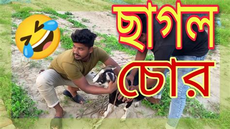 ছাগল চোর Funny Video Prank Video দেশী ছাগল চোর Youtube