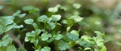 牛市来了？ 知乎