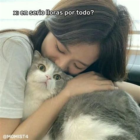 Me Gritan Lloro Me Estreso Lloro No Entiendo Algo Lloro En Fin Lloro Por Todo Video