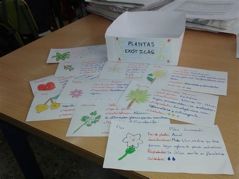 ejemplo de un fichero escolar images result samdexo hot sex picture