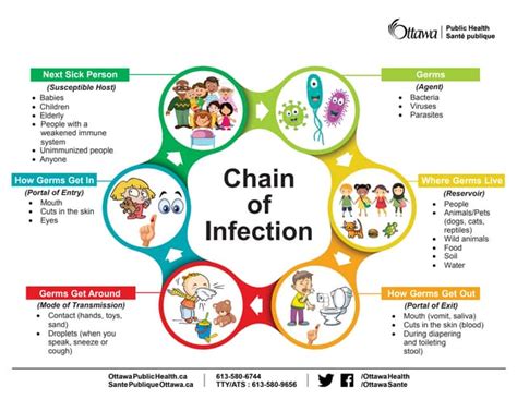 Chain Of Infection Is A Transmission Of Disease Pdf