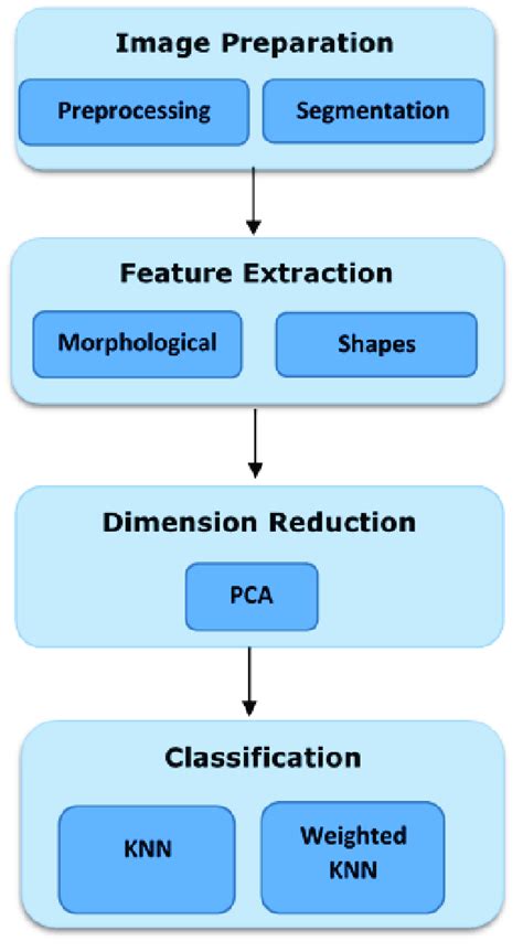 Flow Chart Of The Proposed System For Pistachio Classification Download Scientific Diagram