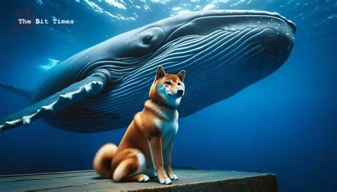 Shiba Inu Ethereum Whale Makes Massive Shib Purchase After Robinhood