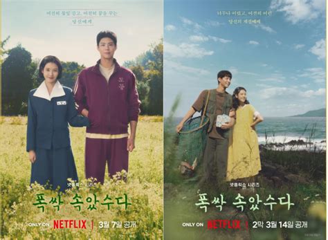 방송가 핫 이슈 아이유 박보검 주연 61회 백상예술대상 작품 극본 남녀 조연상 등 4개 부문 수상