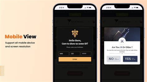 Smart Age Verification Popup 18 Age Checker Popup Shopify Age