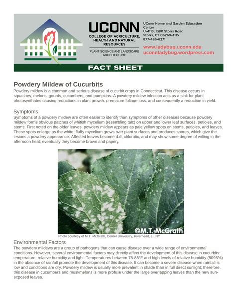 Pdf Powdery Mildew Of Cucurbits · Pdf Filepowdery Mildew Of