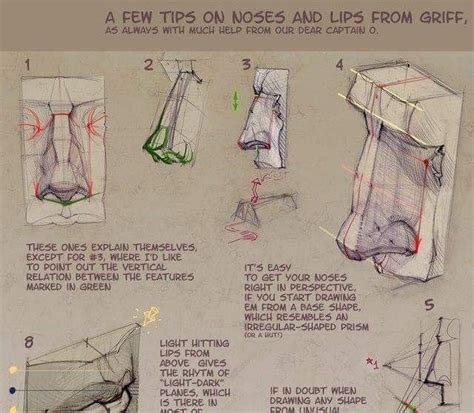 Pin By Stoutastic On Anatomy Art And References Nose Drawing Drawings Anatomy For Artists