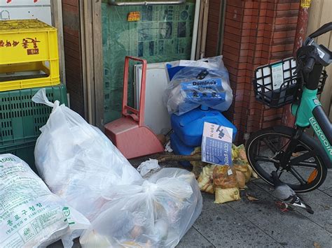 폭염에 막 버린 쓰레기봉투집에선 냄새나고 밖에선 안나나요 나무뉴스