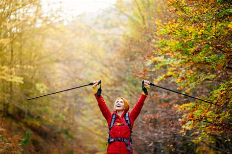 트레일에 기둥과 배낭을 멘 하이킹 소녀 자연 속에서 즐기는 손 가을 시즌에 야외 여행과 건강한 라이프 스타일 35 39세에 대한 스톡 사진 및 기타 이미지 Istock