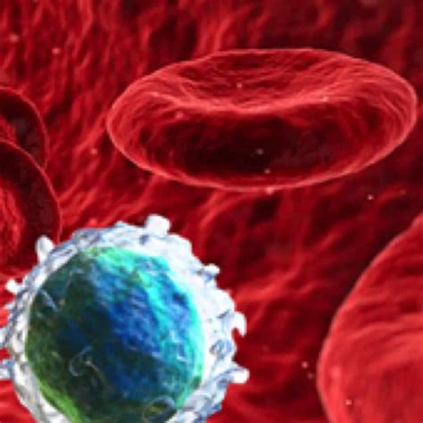 Measurement Of Blood Density Understanding The Density Of Blood And