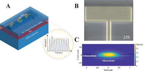 A A Schematic Illustration Of The Thulium Doped Thin Film Lithium Download Scientific Diagram