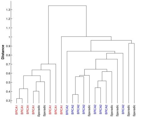 Hierarchical Clustering Of Brca Data Using Selected Genes Hierarchical