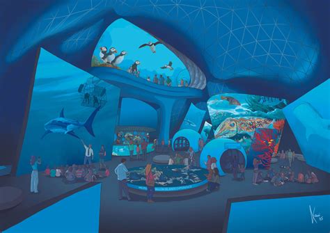 Ocean Action Center Interactive Ocean Science And Real Time Wildlife