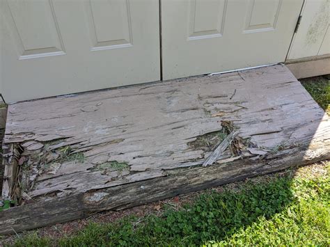 How To Prep Plywood To Replace This Shed Ramp More Info In Comments Rhowto