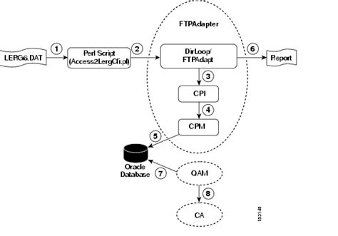 Cisco BTS Softswitch Routing And Dial Plan Guide Release Chapter Local Exchange